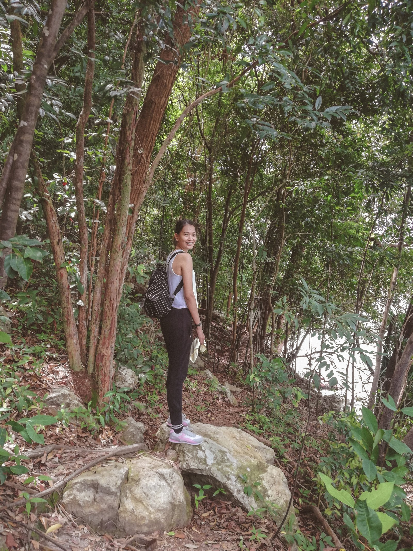 Everything You Need to Know About Tanjung Tuan Recreational Forest ...