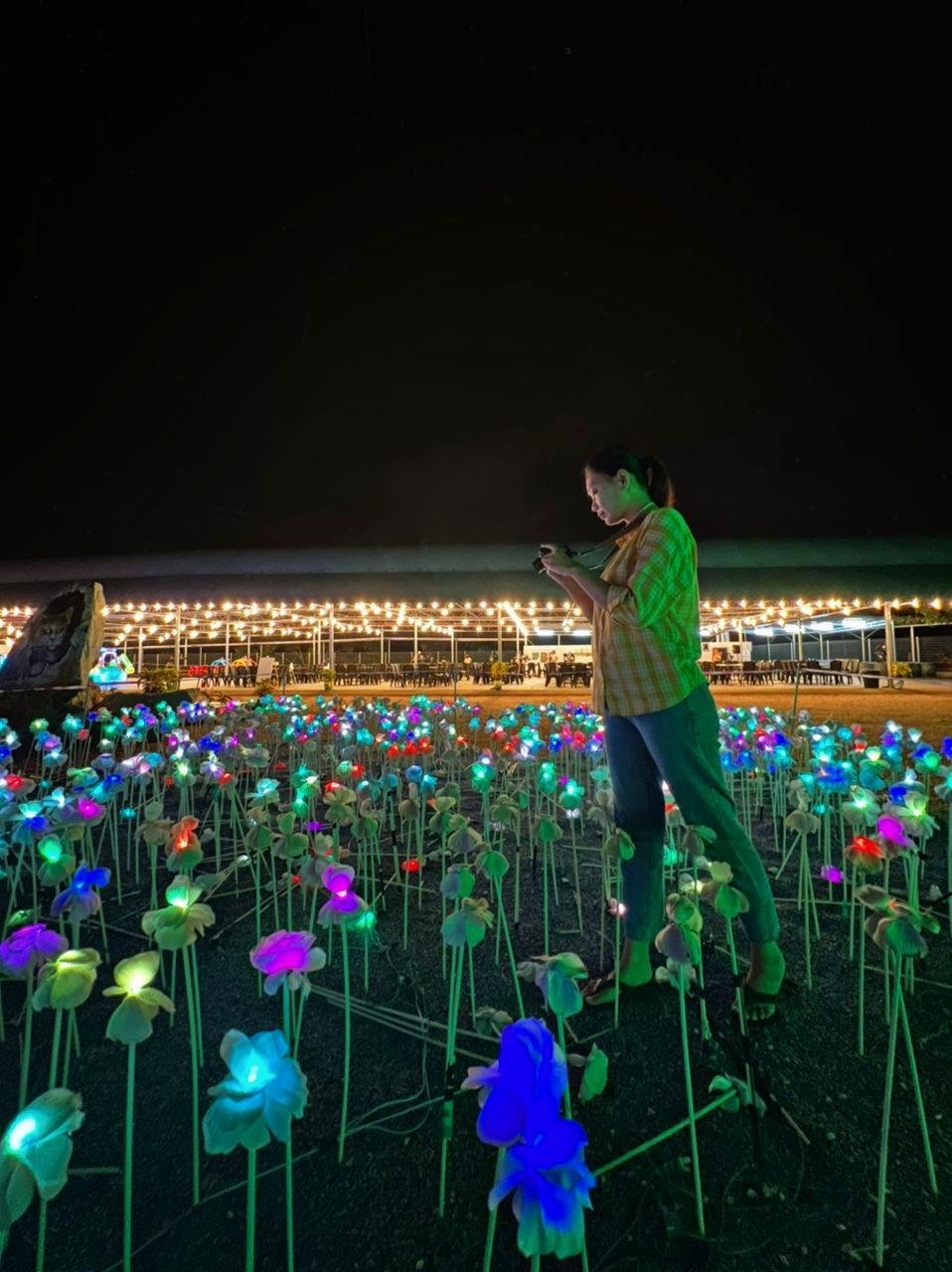 Meow Garden Ipoh: A Hidden Gem or Just Hype? | Wanderhoney.com