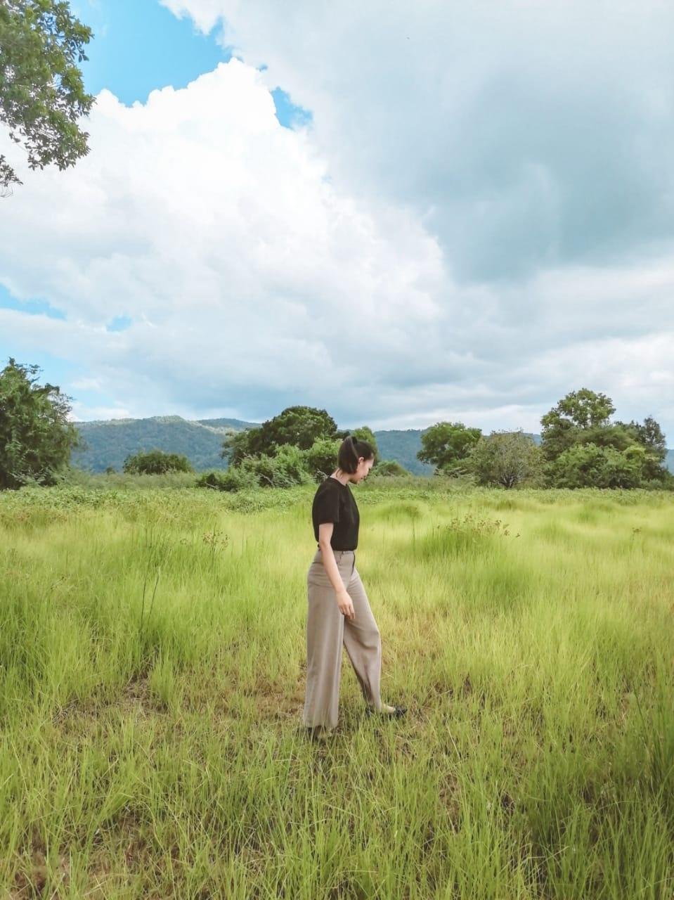 A Quick Day Trip In Perlis, Malaysia And Must-Visit Restaurants ...