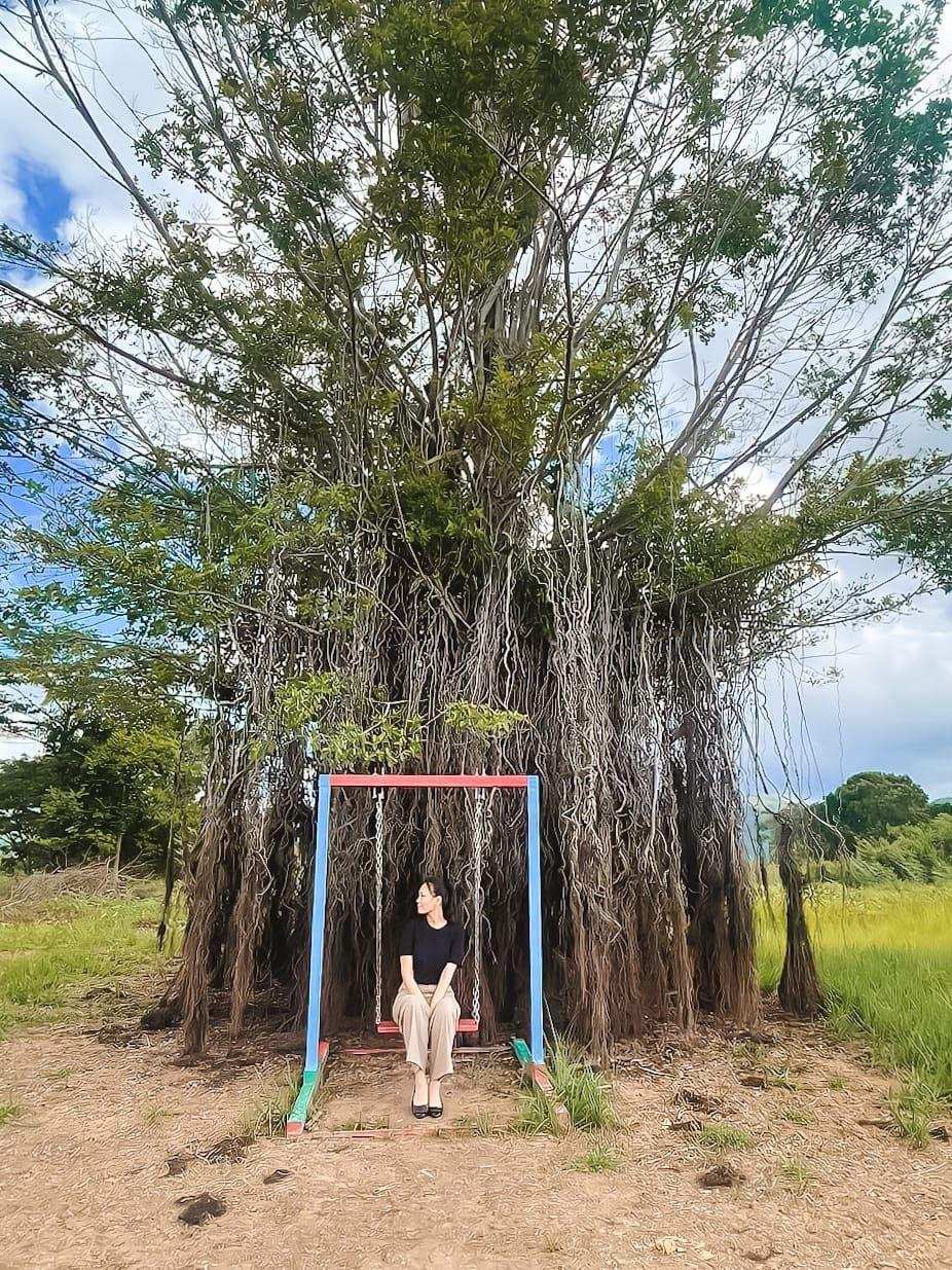 A Quick Day Trip In Perlis, Malaysia And Must-Visit Restaurants ...