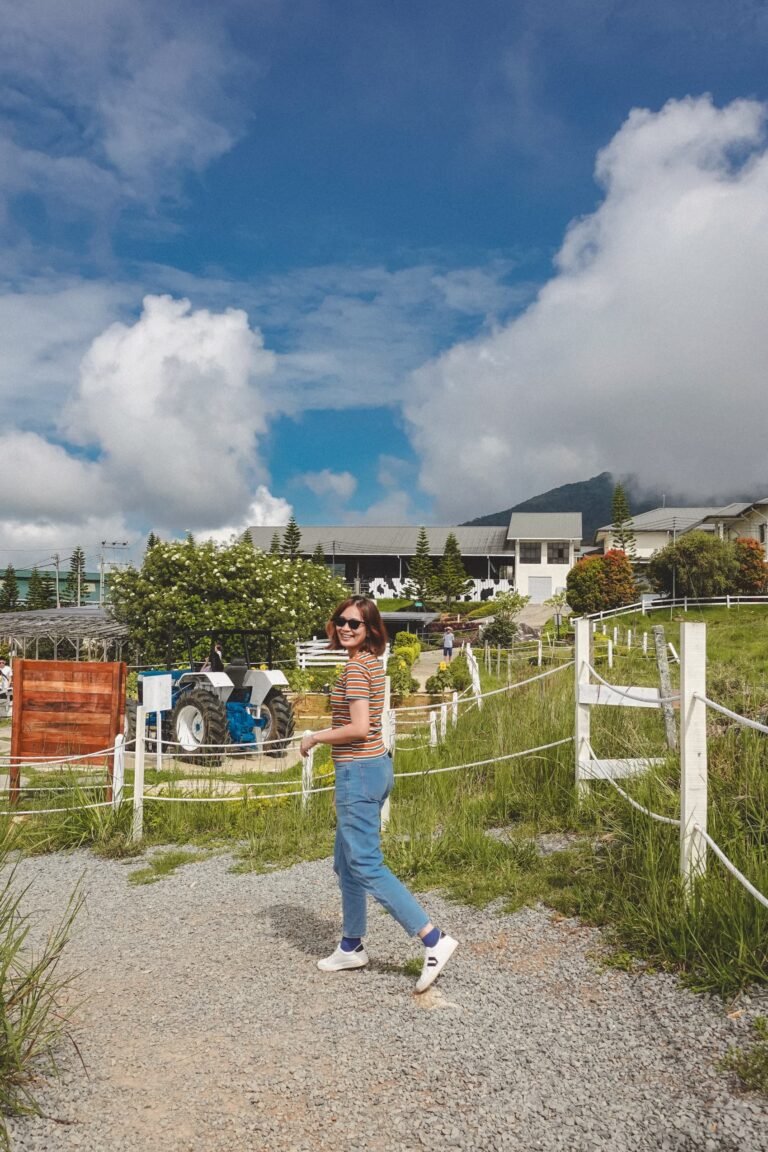 Kundasang Trip 2024: Itinerary For 4D 3N To Kundasang,Sabah ...